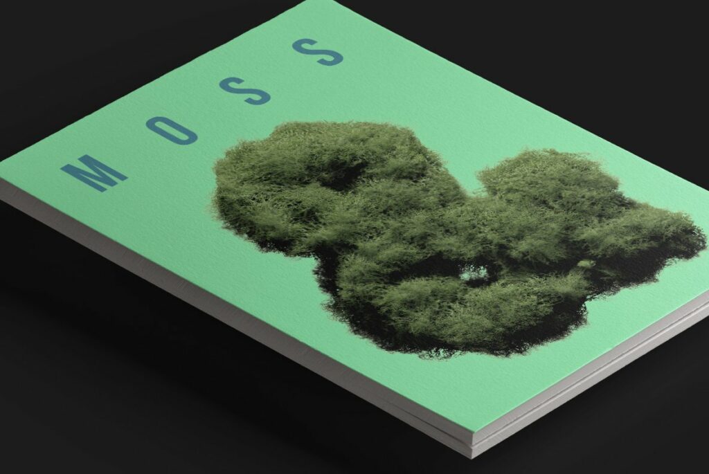 Moss Font – MasterBundles