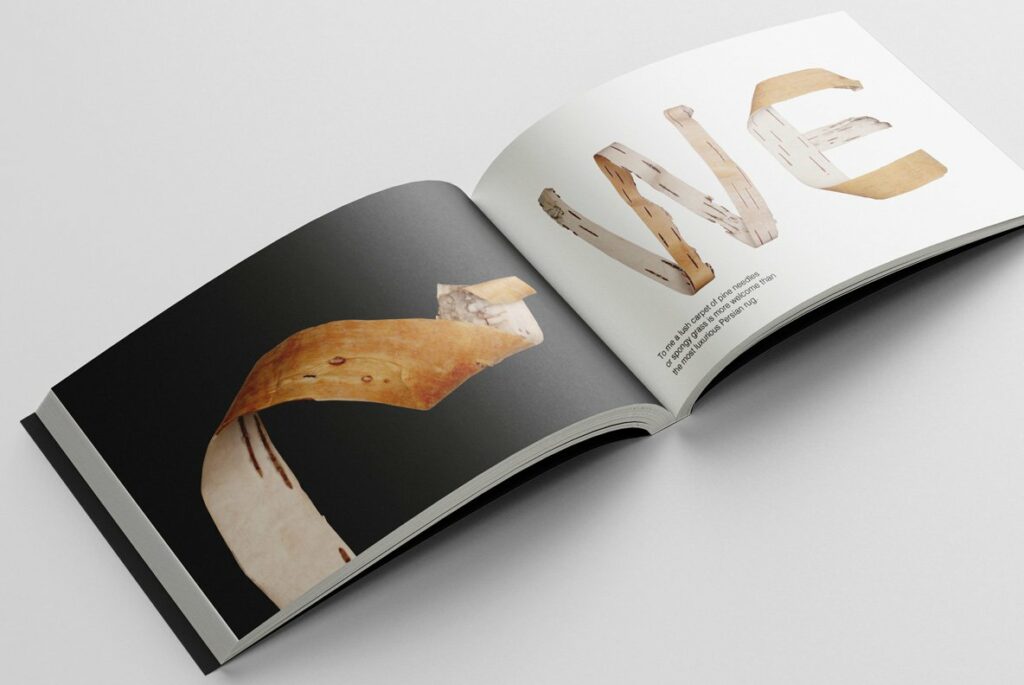 Birch Bark Font – MasterBundles