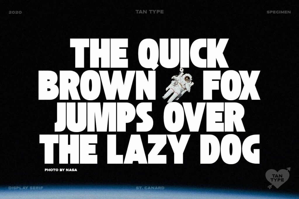 TAN - St. Canard – MasterBundles