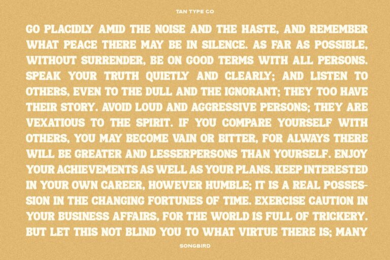 TAN - SONGBIRD – MasterBundles