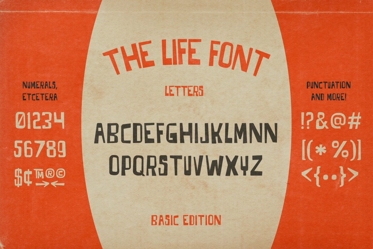 THE LIFE - Retro Surfy Display Font – MasterBundles