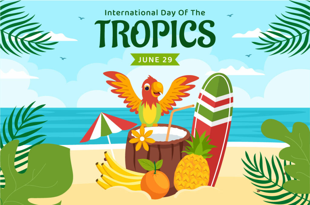 15 International Day of the Tropic Vector Illustration - MasterBundles
