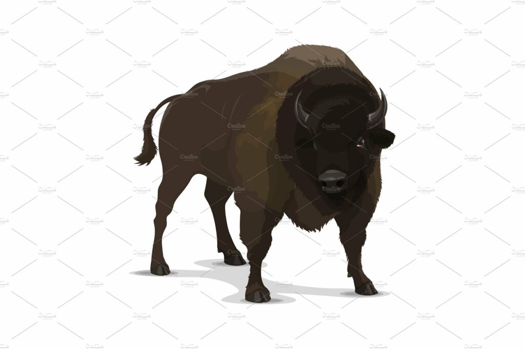 Big cartoon bison wild animal – MasterBundles