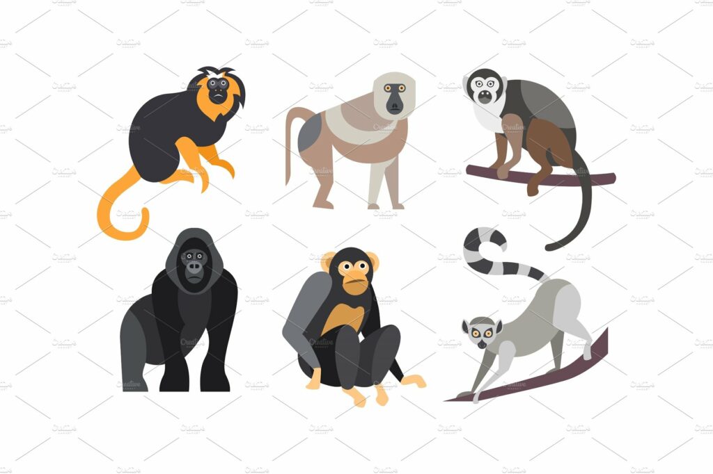 Collection of monkeys, different – MasterBundles