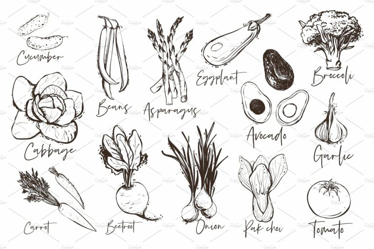 Outline Vegetables Set + Pattens – MasterBundles