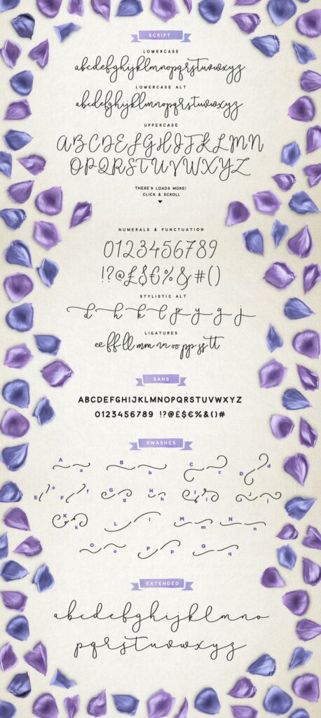 Violetta Font Pack – MasterBundles