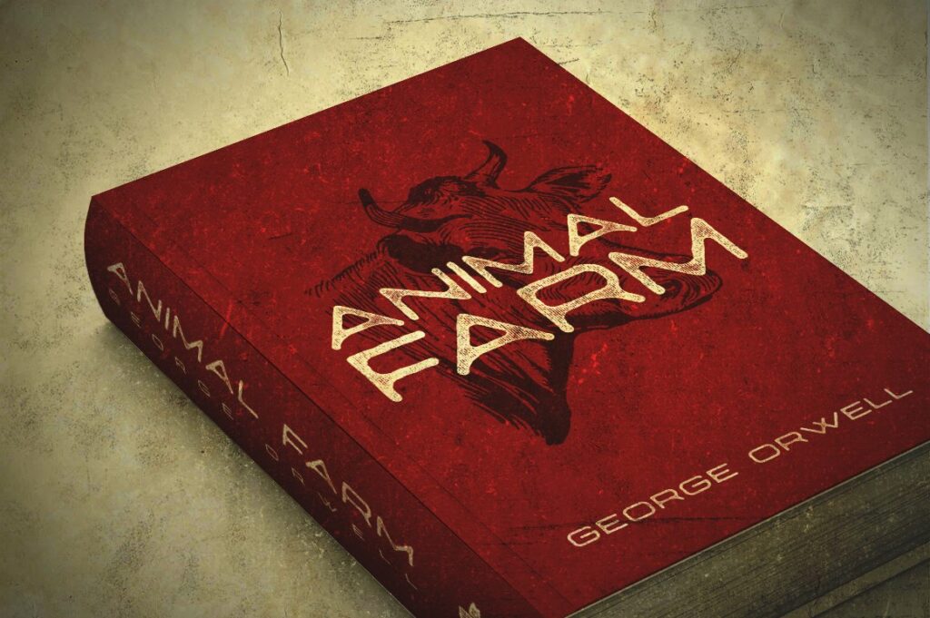 Navy Queen Display Font – MasterBundles