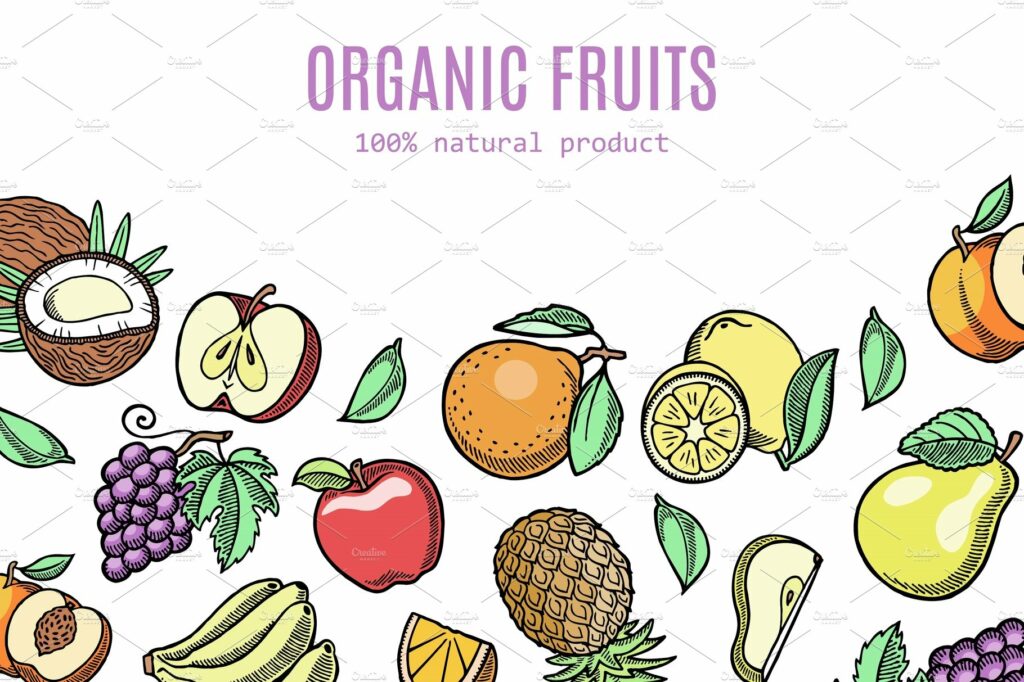 Organic eco fruits vector – MasterBundles