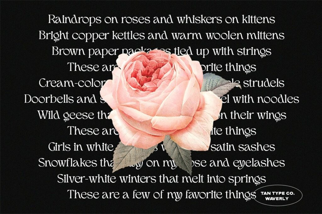 TAN - WAVERLY – MasterBundles