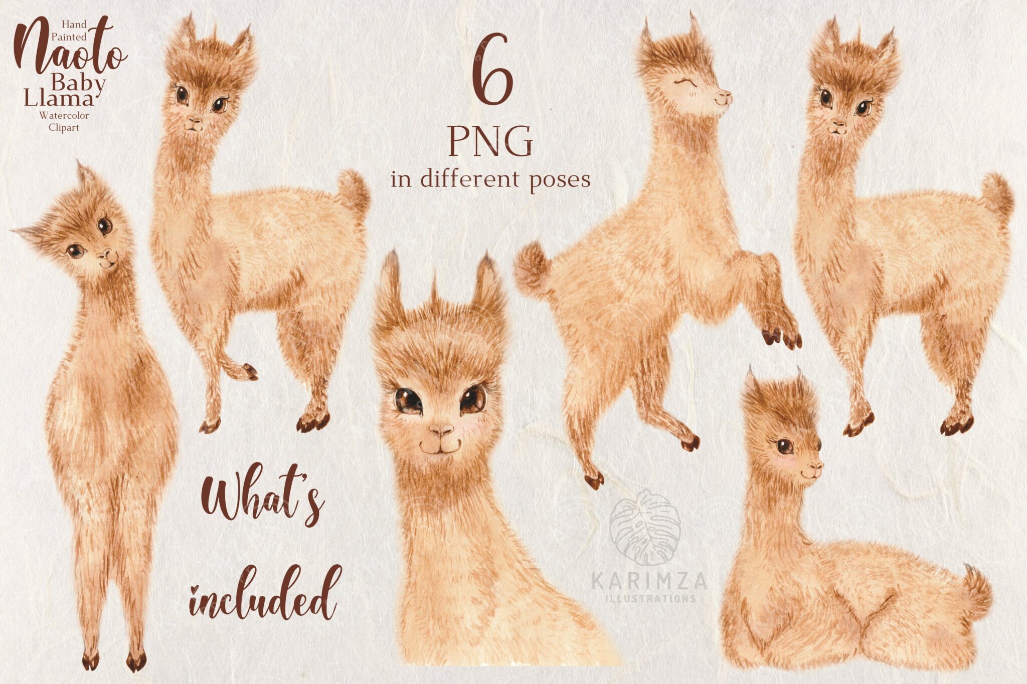 Watercolor Llama clipart, Alpaca PNG – MasterBundles