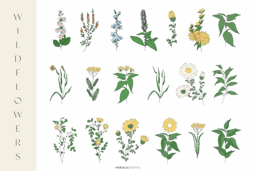 Wildflowers Botanical Logo Elements – MasterBundles
