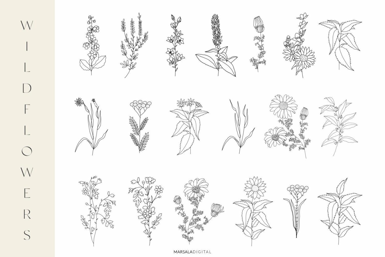 Wildflowers Botanical Logo Elements – MasterBundles