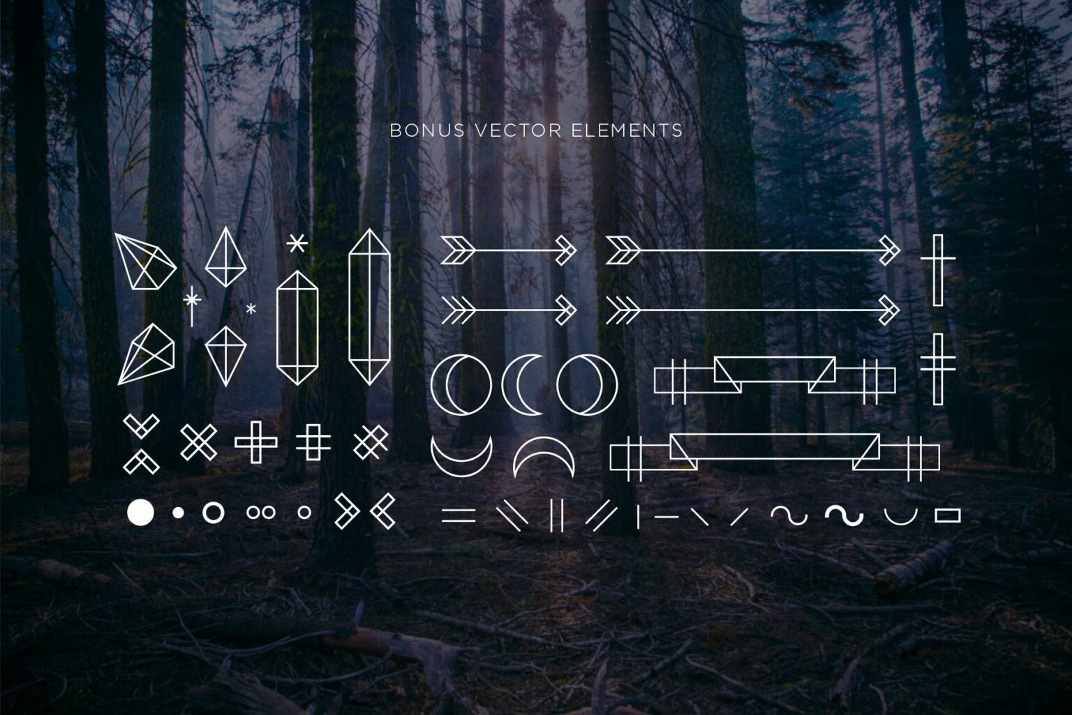 Wild Wood Font + Extras – MasterBundles