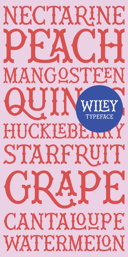 Wiley Decorative Latin & Greek Font – MasterBundles