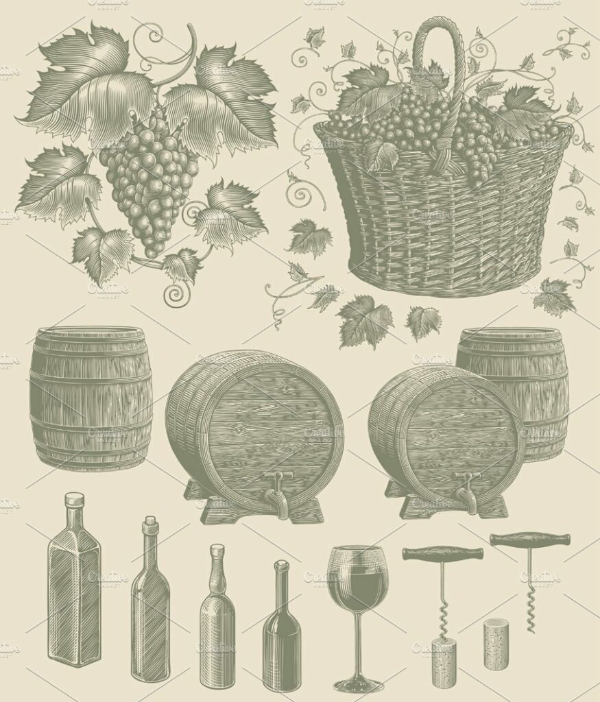 Design set Vine. Vector engraving – MasterBundles