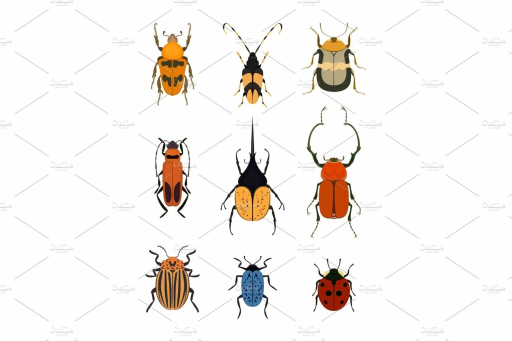 Bug icon set isolated on white – MasterBundles