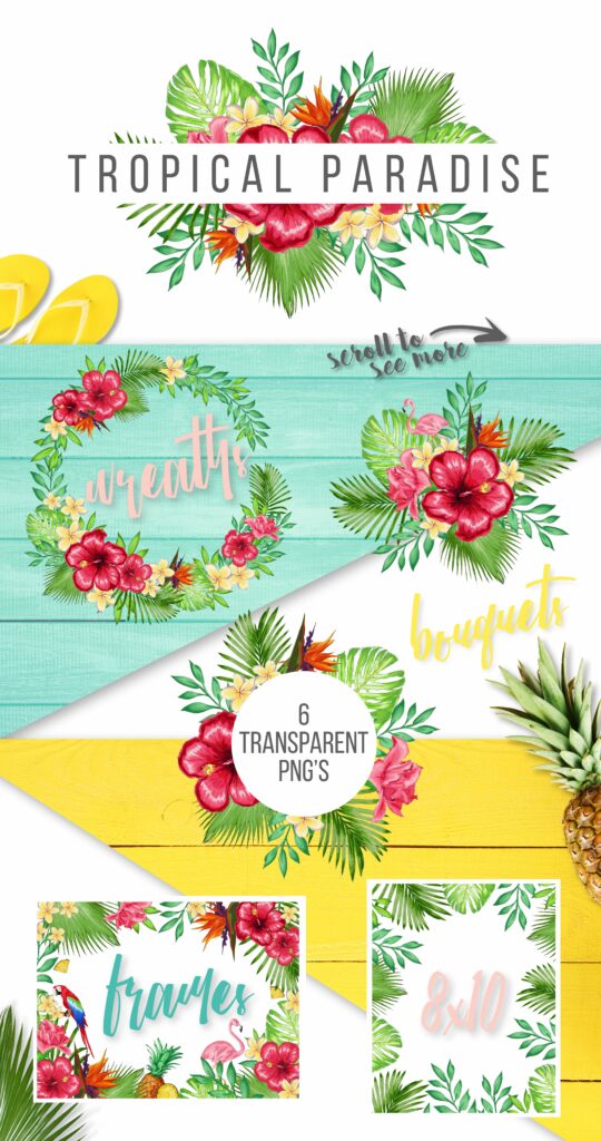 Tropical Paradise Graphic Set – MasterBundles