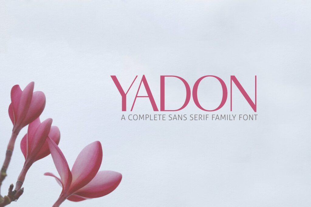 Yadon Sans Serif Fonts Family Pack – MasterBundles