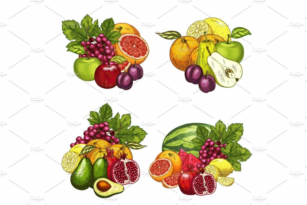Vector sketch icons of exotic garden fruits bunch – MasterBundles