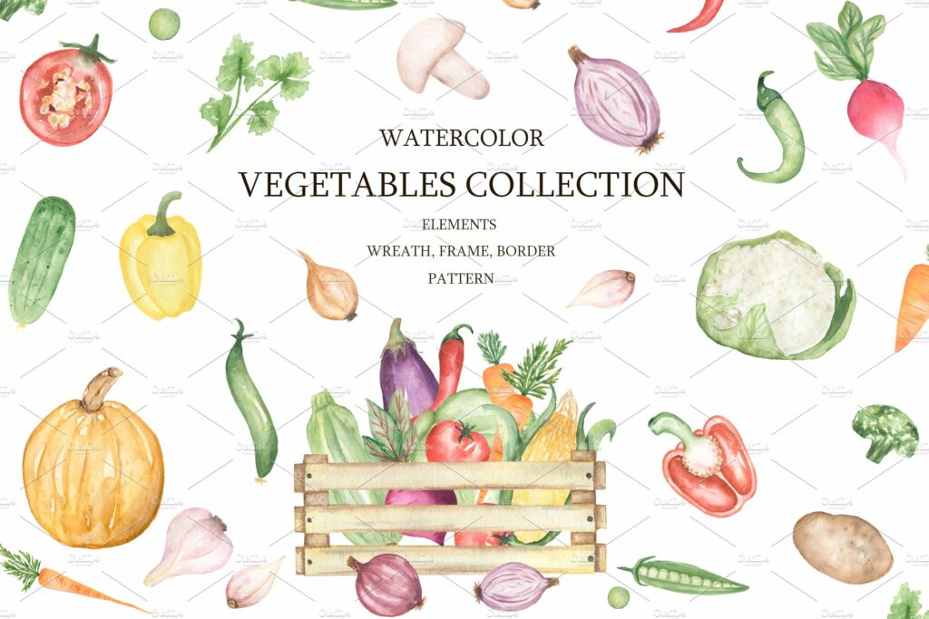 Watercolor Vegetables Collection – MasterBundles