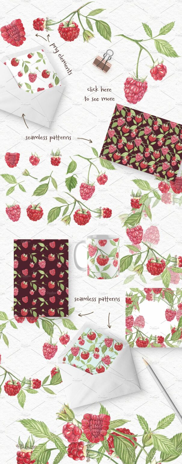 Raspberry Graphic&Watercolor clipart – MasterBundles
