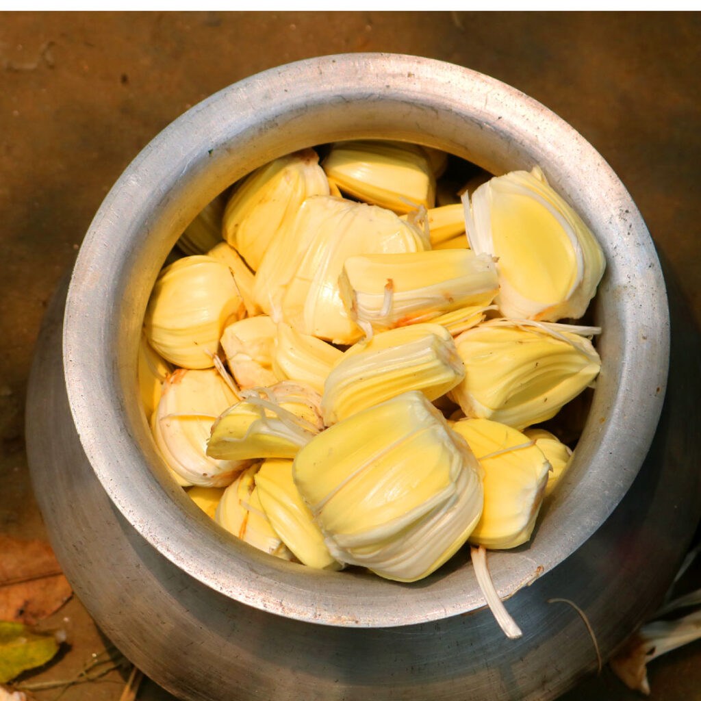 Kathal Photography in Bangladesh - MasterBundles