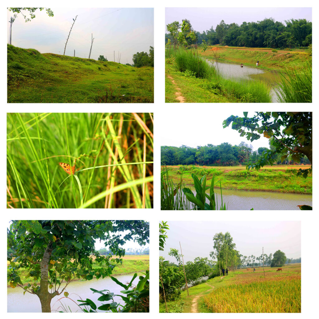 Breathtaking Natural Photography in Bangladesh - MasterBundles