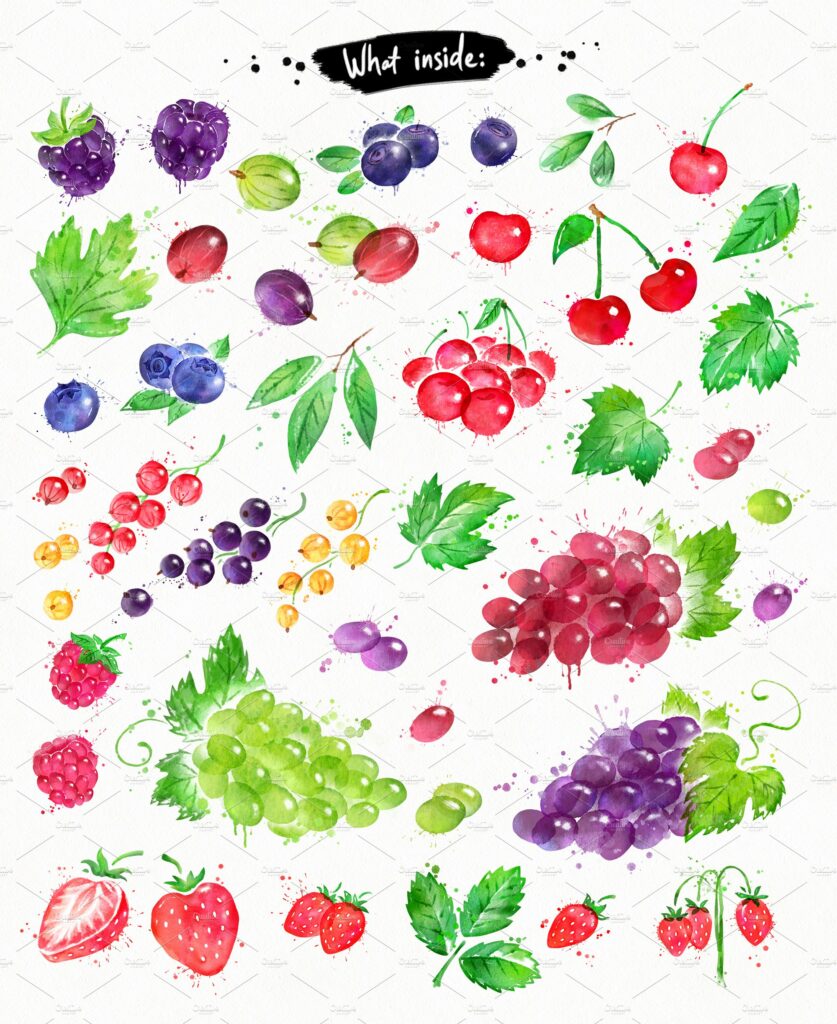 Berries Watercolor Collection – MasterBundles