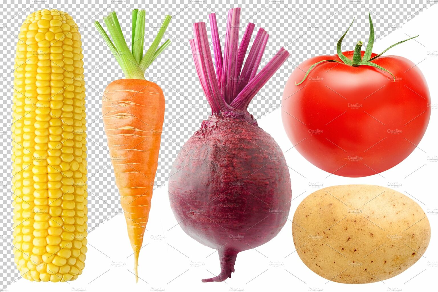 20 fresh vegetables – MasterBundles