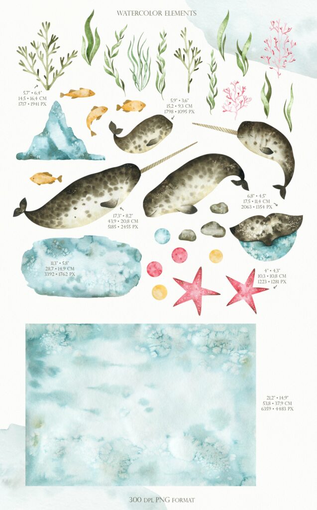 Watercolor Narwhals Clipart – MasterBundles
