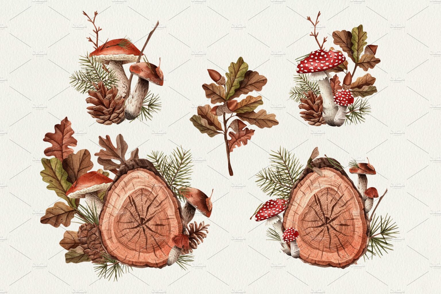 Watercolor botanical forest set – MasterBundles