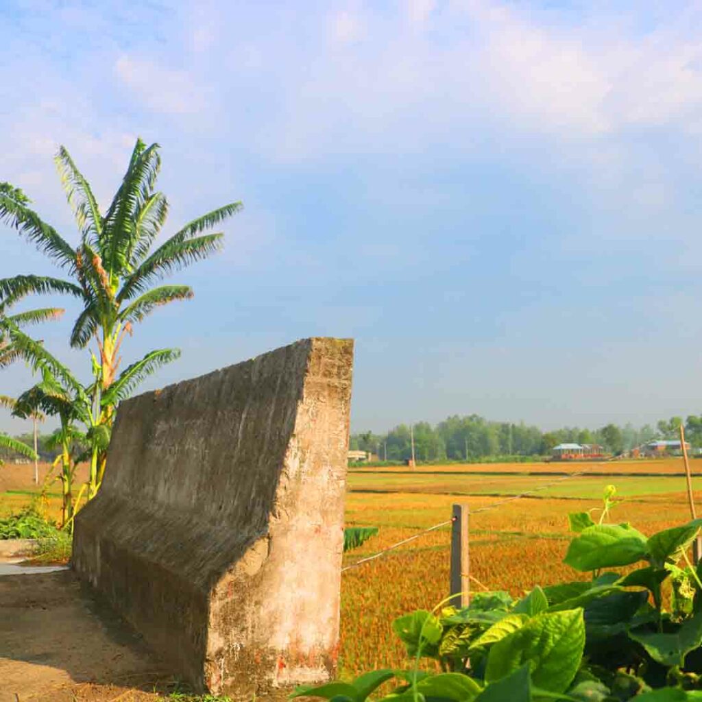 Ghar Tree village people & roads stock photos in Bangladesh - MasterBundles