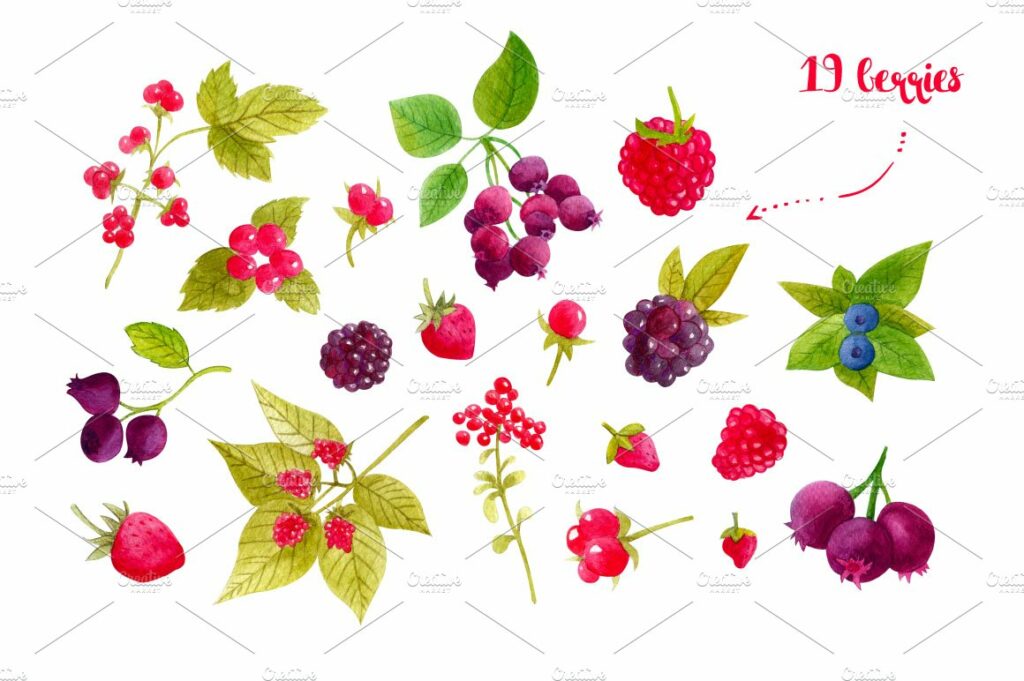 Woodland Animals. Watercolor Bundle – MasterBundles