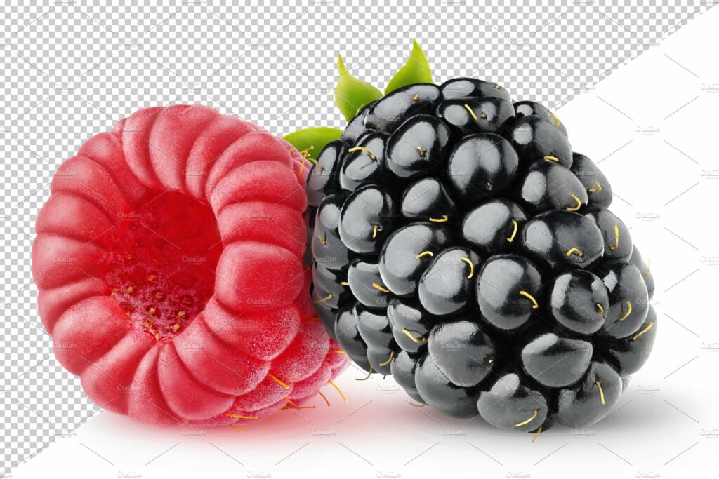 Blackberry and raspberry – MasterBundles