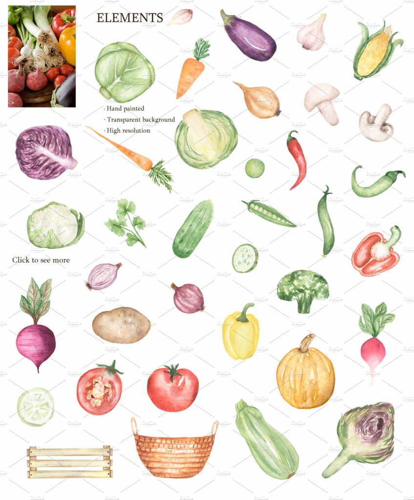 Watercolor Vegetables Collection – MasterBundles