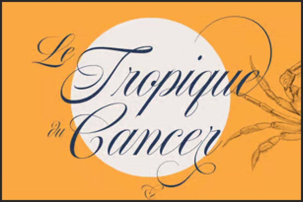 25 Best Nautical Fonts to Make Your Designs Seaworthy (2023)