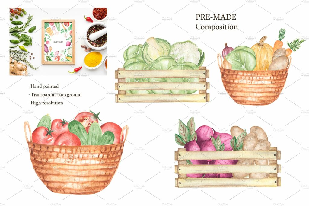 Watercolor Vegetables Collection – MasterBundles