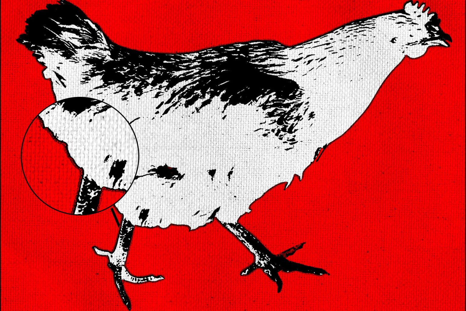 High-Res Distressed Canvas Textures – MasterBundles