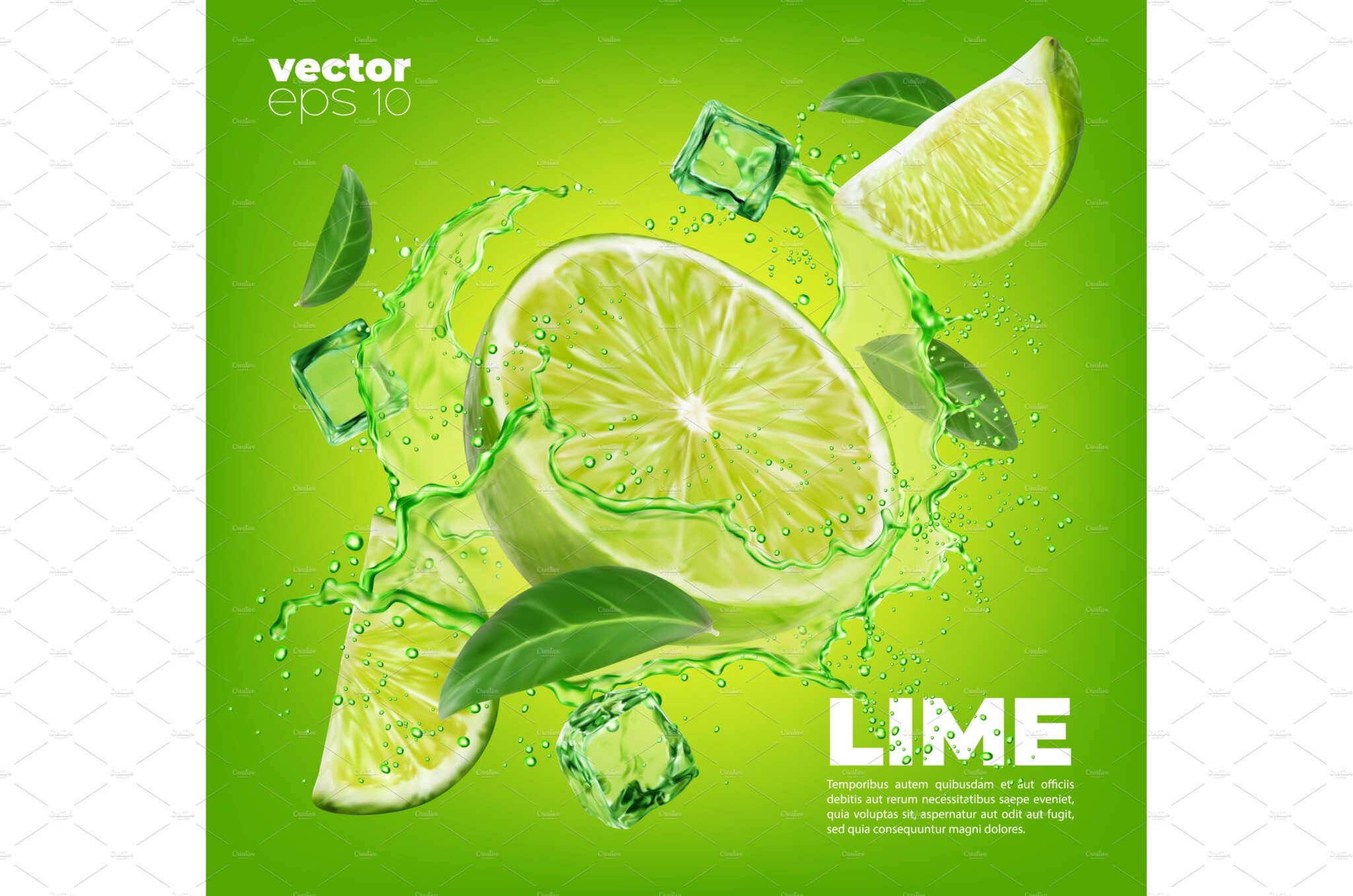 Lime fruit slice, leaves and splash – MasterBundles