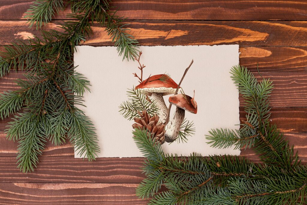 Watercolor botanical forest set – MasterBundles