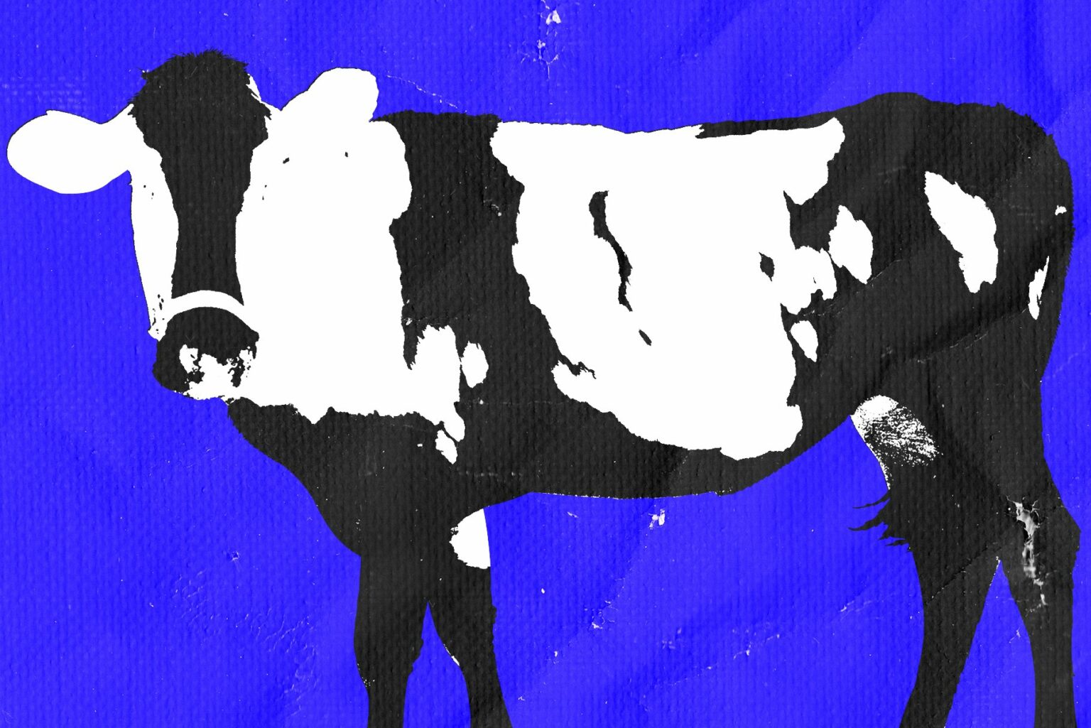 High-Res Distressed Canvas Textures – MasterBundles