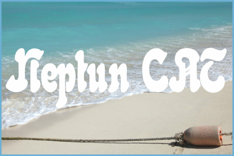 25 Best Nautical Fonts to Make Your Designs Seaworthy (2023)