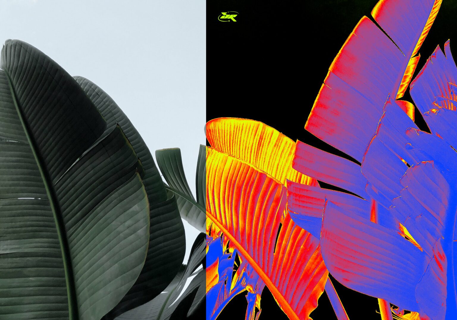 HEATMAPS - gradient maps – MasterBundles