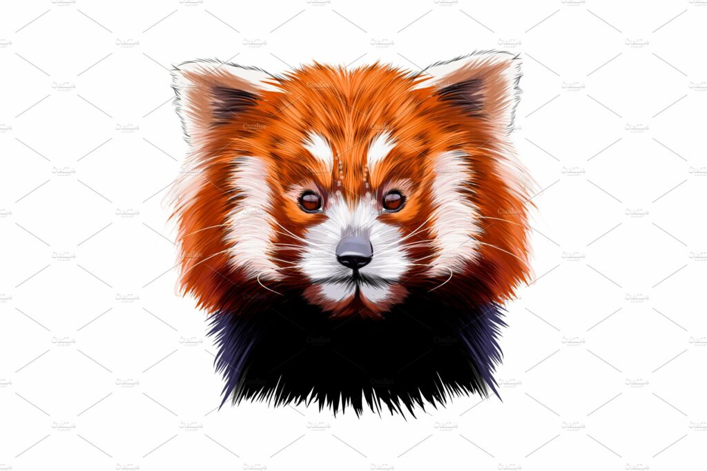 Head of a small red panda – MasterBundles
