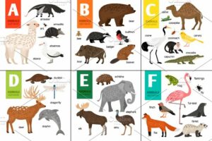 Alphabet with Animals – MasterBundles