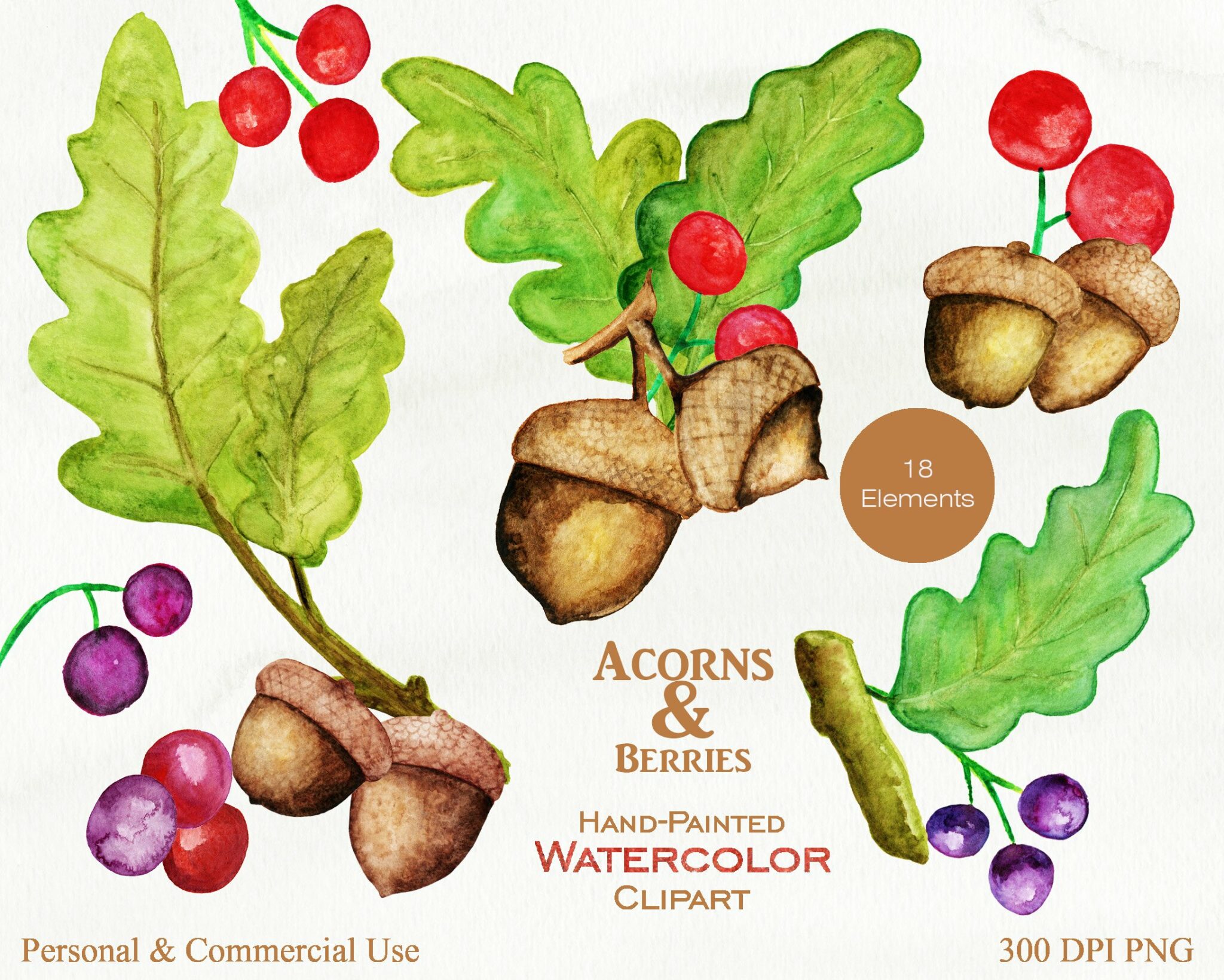 Autumn Watercolor Acorn Graphics – MasterBundles