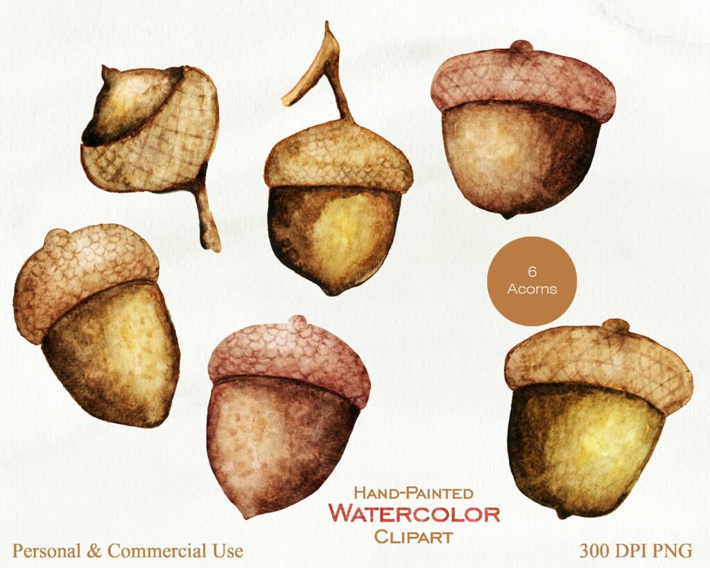 Autumn Watercolor Acorn Graphics – MasterBundles