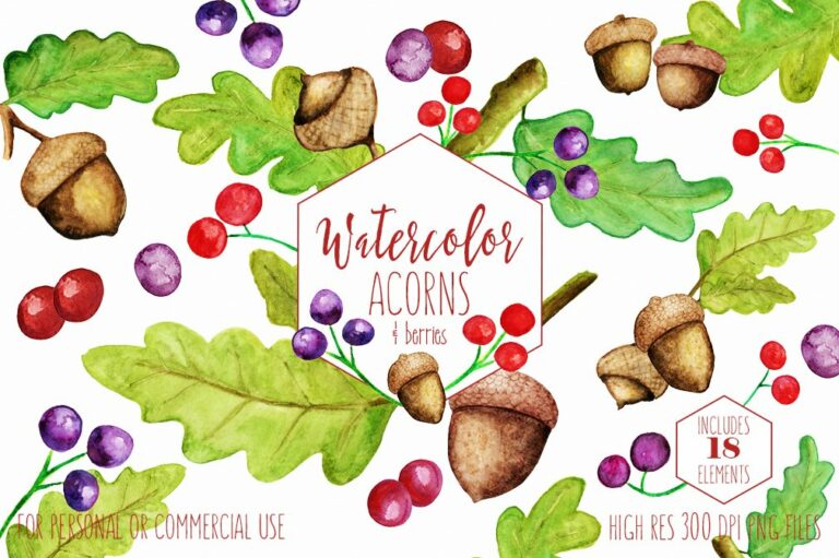 Autumn Watercolor Acorn Graphics – MasterBundles