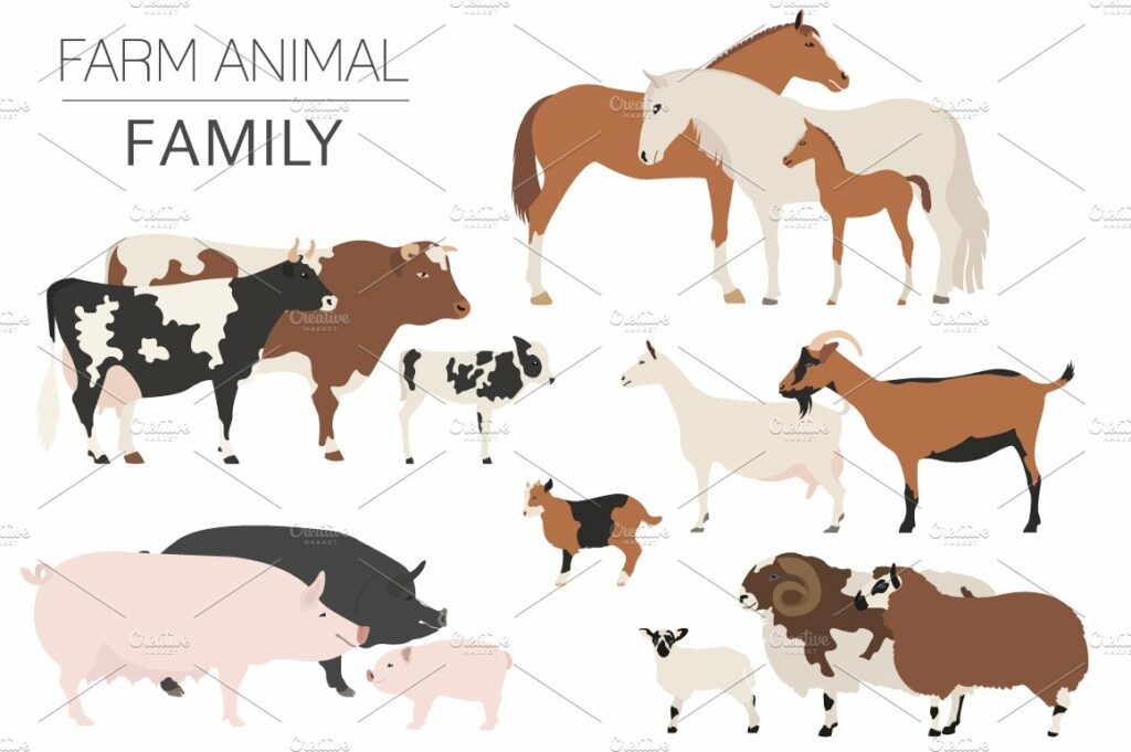 Farm animal & poultry big set – MasterBundles