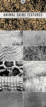 Animal Skins Textures – MasterBundles